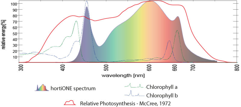 Light Spectrum and absorption curves for horticulture - hortione.com