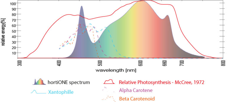 Light Spectrum and absorption curves for horticulture - hortione.com