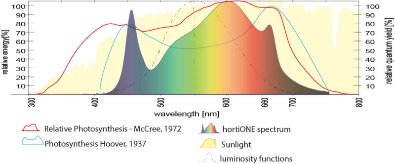 Light Spectrum and absorption curves for horticulture - hortione.com