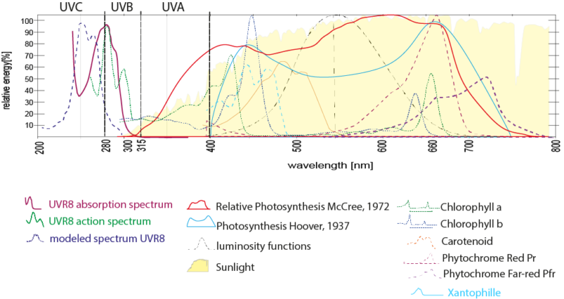Die Kraft der ultravioletten Strahlung (UV): Ein Leitfaden für die ...
