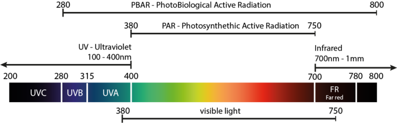 El poder de la radiación ultravioleta (UV): Una guía para cultivar ...